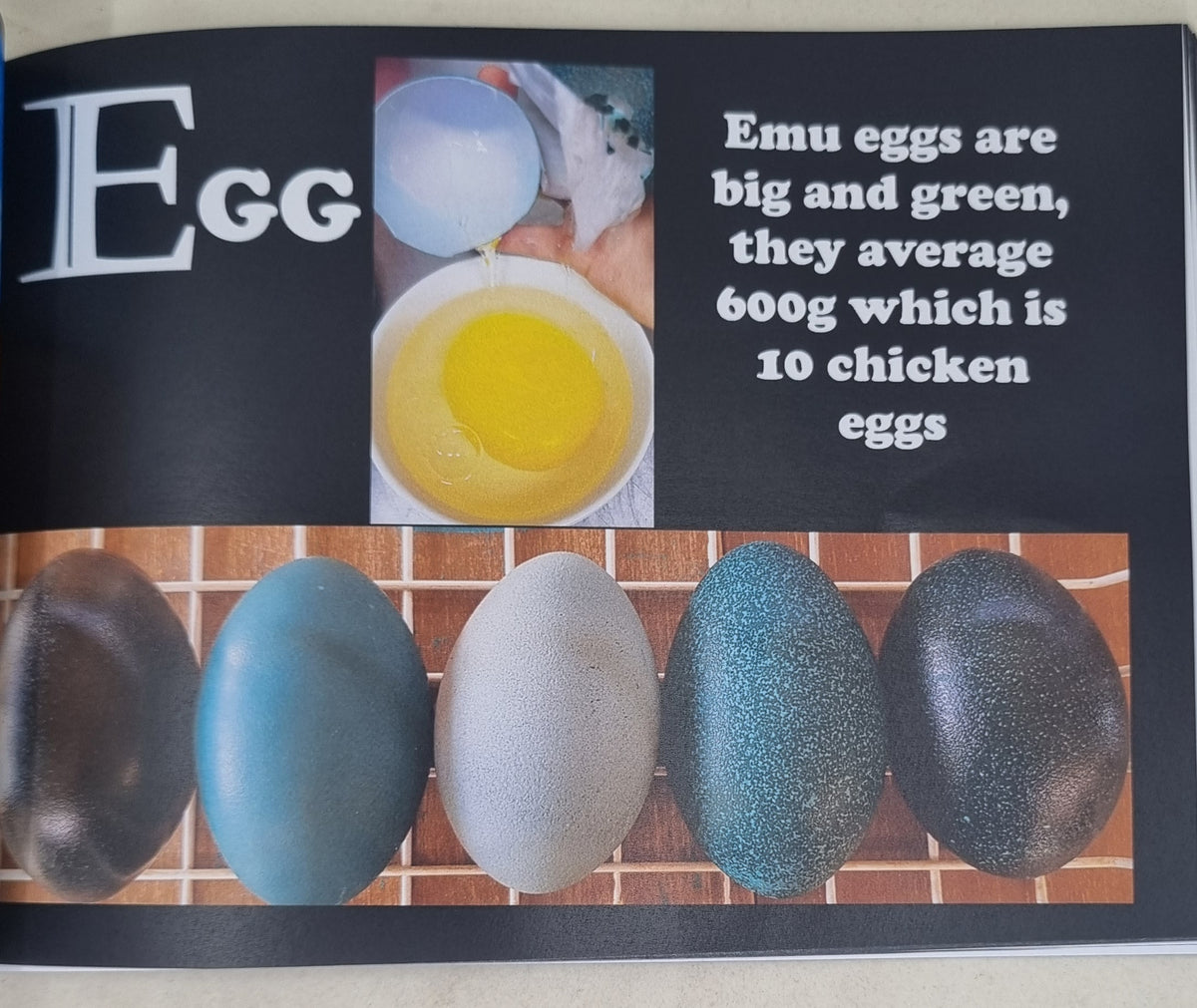 ABC of Emus Book – Emu Logic