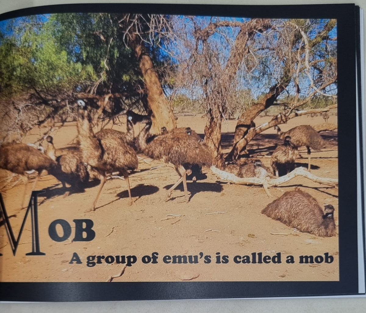 ABC of Emus Book – Emu Logic